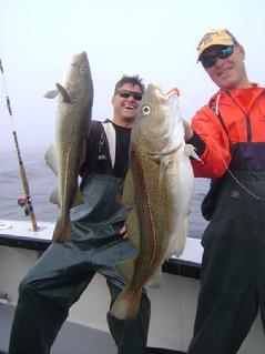 May 27th Cod/Pollack/Haddock - Fish Gloucester