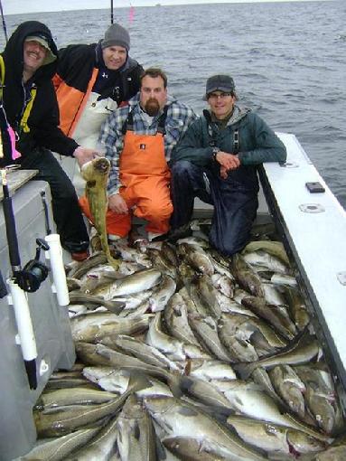 April 16th Cod - Fish Gloucester