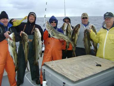 April 28th Cod - Fish Gloucester