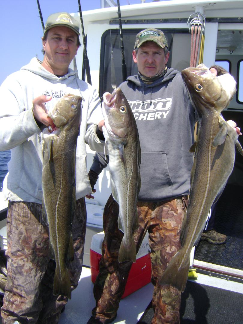 May 7th Cod - Fish Gloucester